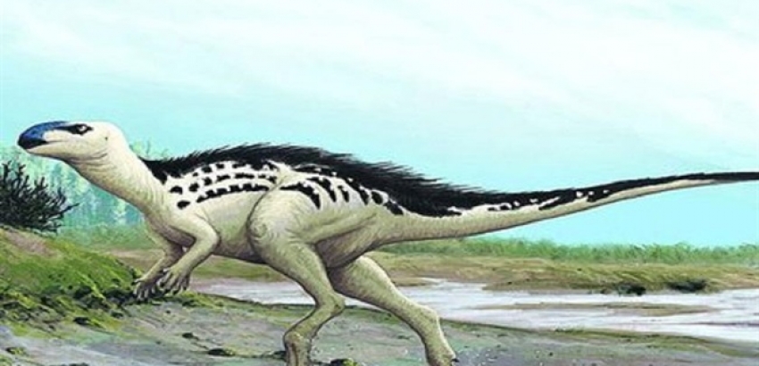 Melano.hu | A Közép-európaiak magazina